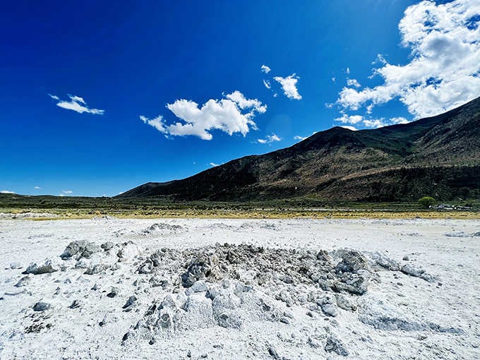 That white, crusty shoreline isn't snow, it's mineral deposits from one of North America's oldest lakes.