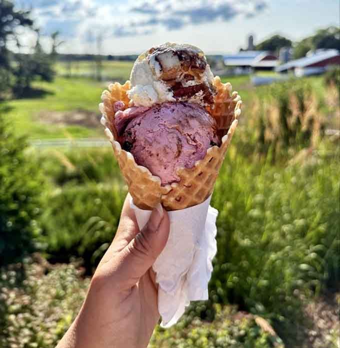 Two scoops of pure Michigan joy in a waffle cone, because choosing just one flavor is for quitters.