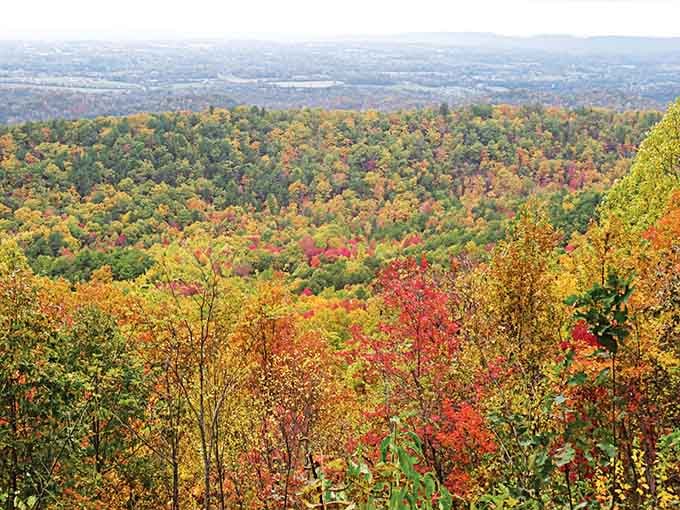 Fall colors so vivid they look like someone went overboard with the saturation slider, except this is completely real.