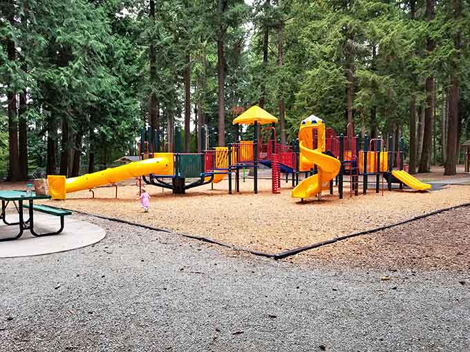 Hillcrest Park: where kids can actually play without requiring a reservation or liability waiver first.