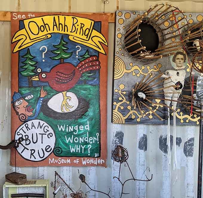 The "Ooh Ahh Bird" painting captures that delightfully absurd folk art spirit, asking life's big questions with a wink.