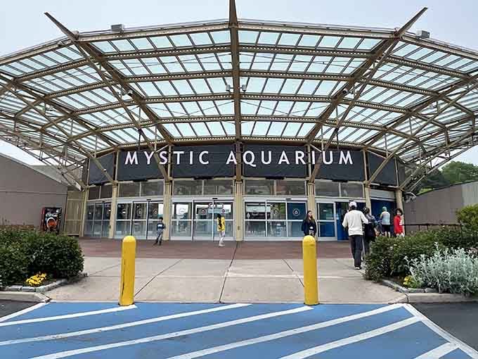 The entrance promises underwater adventures without requiring you to squeeze into a wetsuit or worry about shark attacks&mdash;win-win situation.
