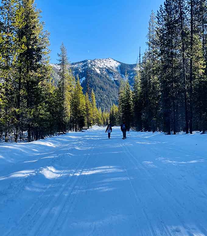 Winter transforms the landscape into a snowy wonderland that would make Bing Crosby want to croon.