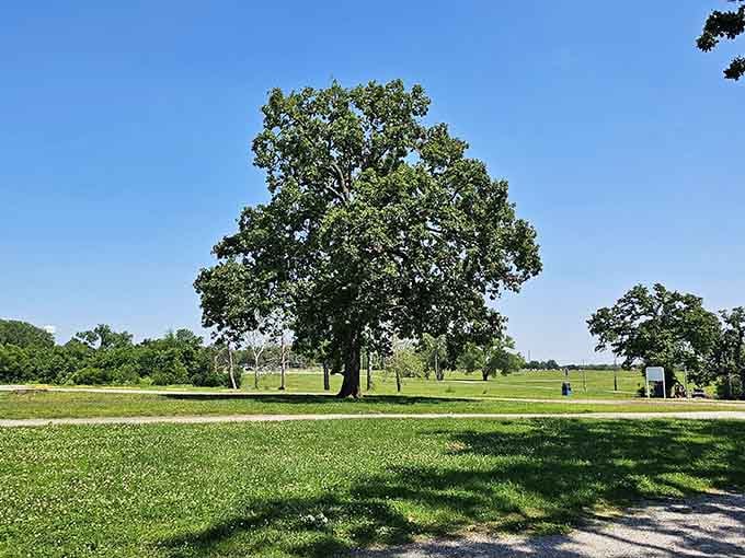 Marmaduke Park's sprawling green spaces remind you that not everything worth doing requires a screen or a subscription fee.