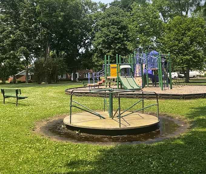 Murphy Park proves that the best playground equipment is still a good old-fashioned merry-go-round and wide-open space.