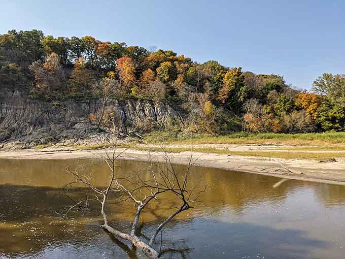 Flandrau State Park offers riverside serenity just steps from town, because New Ulm does nature too.