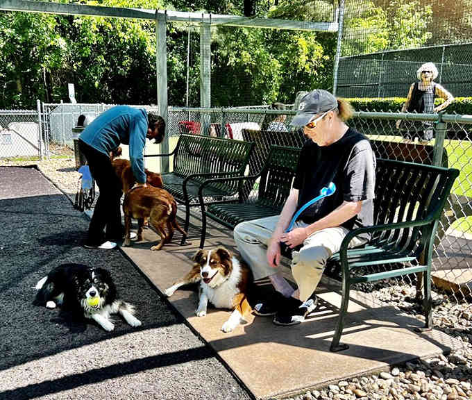 The seating area where humans rest while their dogs do all the cardio they've been avoiding at the gym.