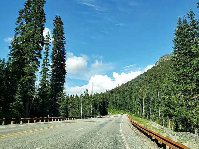 Sometimes the straightaways are just as breathtaking as the dramatic overlooks, proving nature doesn't need drama to impress.