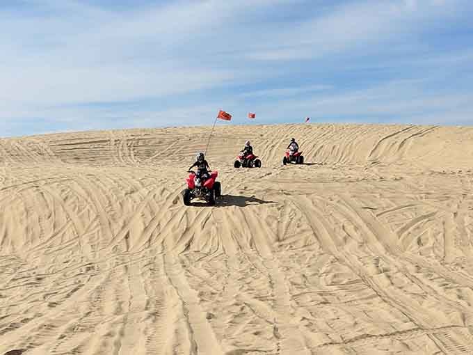 ATVs carve through dunes like skiers on powder, flags waving for safety and style.