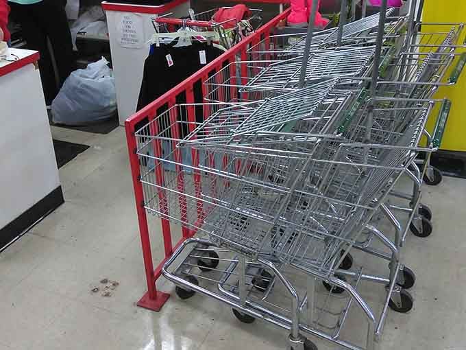 Shopping carts stand ready for duty, prepared to haul your discoveries without judging your enthusiastic purchasing decisions.