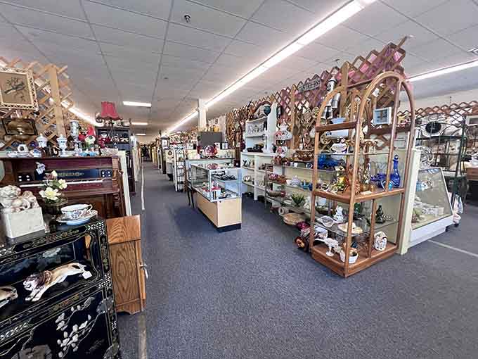 Every aisle reveals another treasure trove where your credit card goes to feel simultaneously nervous and excited.