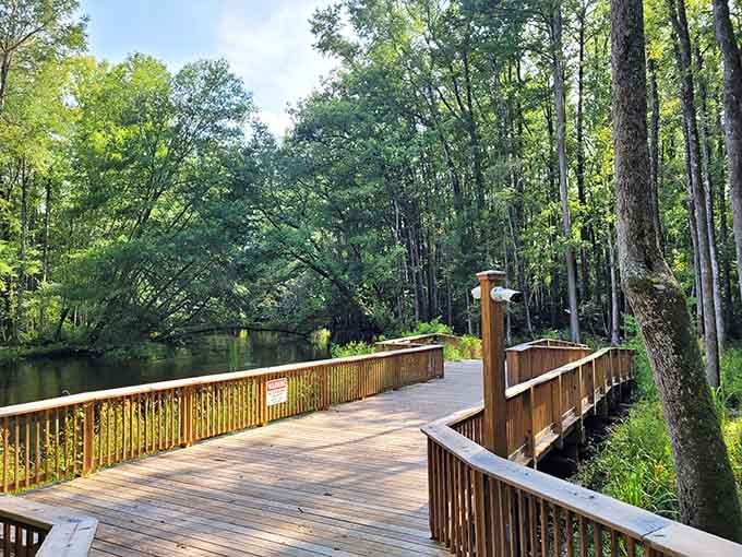 Lake Edisto Park's boardwalk offers million-dollar views on a budget that won't break the bank.