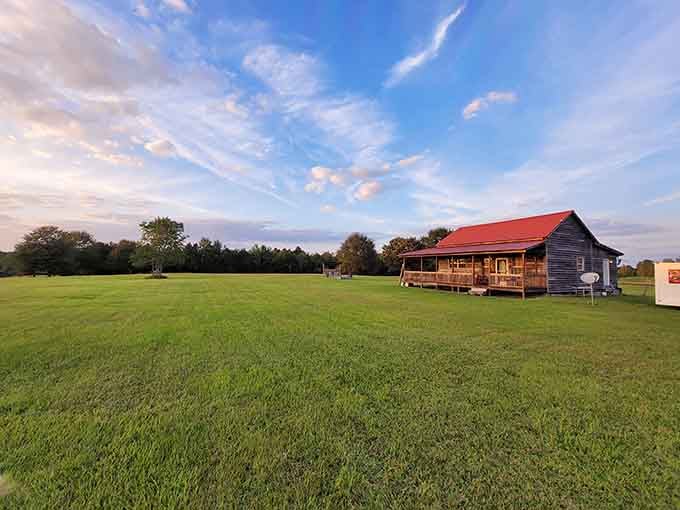 Wide open fields and rustic charm remind you that South Carolina's agricultural roots run deeper than your family tree.