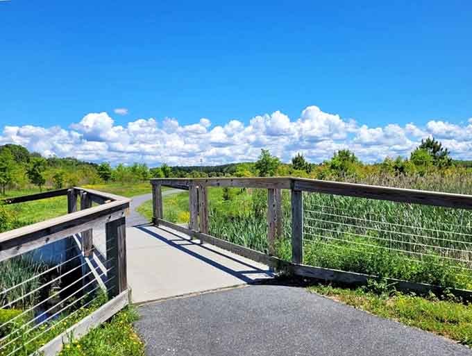Nature trails wind through marshland where the only soundtrack you need is birdsong and rustling reeds under blue skies.