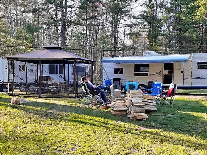 RV camping here means waking up surrounded by trees instead of traffic, which is basically winning at life.
