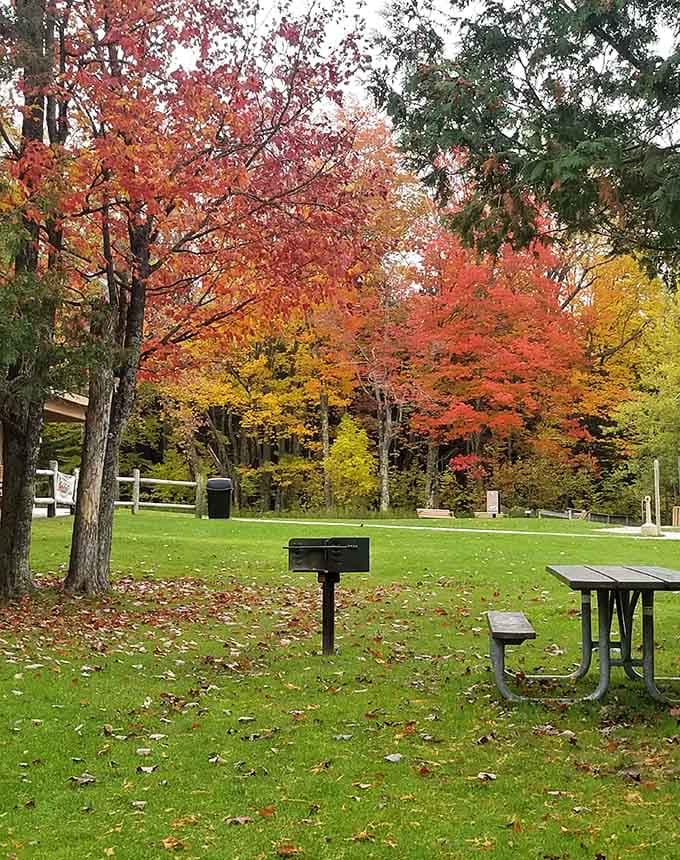Fall colors frame the picnic areas, turning a simple lunch spot into something worthy of a calendar.