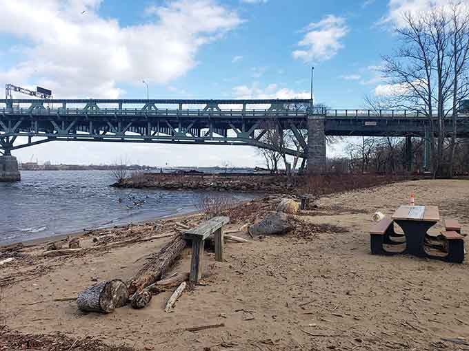Driftwood and sandy shores create the perfect riverside picnic spot with industrial-chic bridge views included.