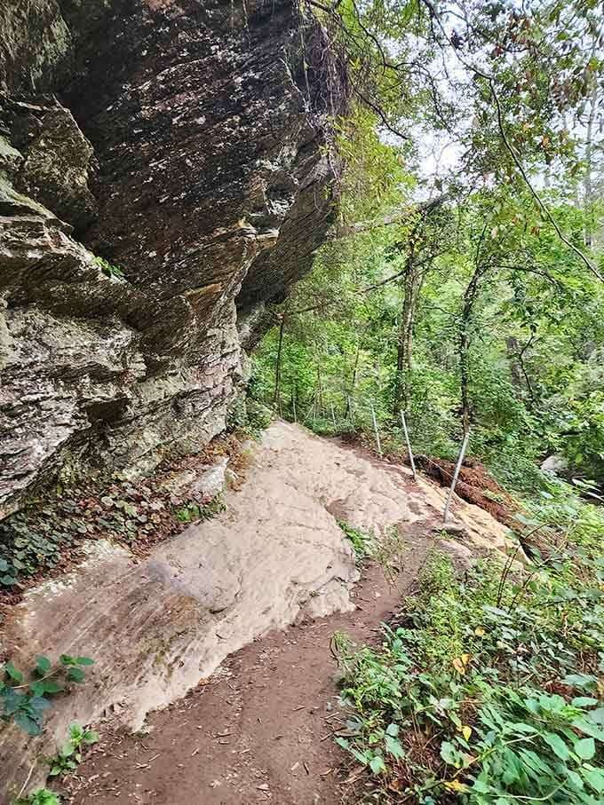 Trail hugs the cliff face here, making you feel like an adventurer without the danger.