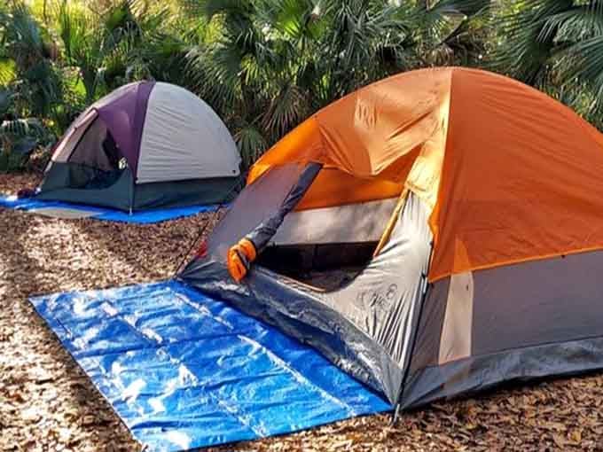 Camping under the stars where your neighbors might include creatures that snort, hoot, or contemplate your tent curiously.
