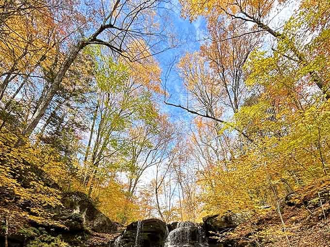 Autumn transforms the Blue Hole into a painter's palette, with golden leaves framing that impossibly clear water.