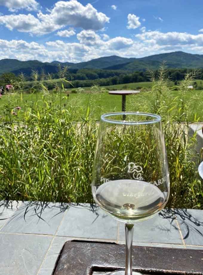 White wine with a mountain view beats your office cubicle any day of the week.