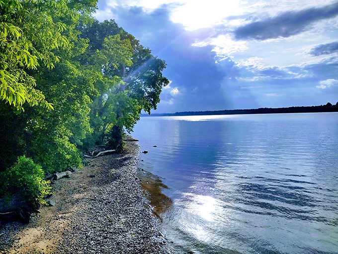 When the Potomac looks this serene, you understand why Washington chose this view for his backyard.