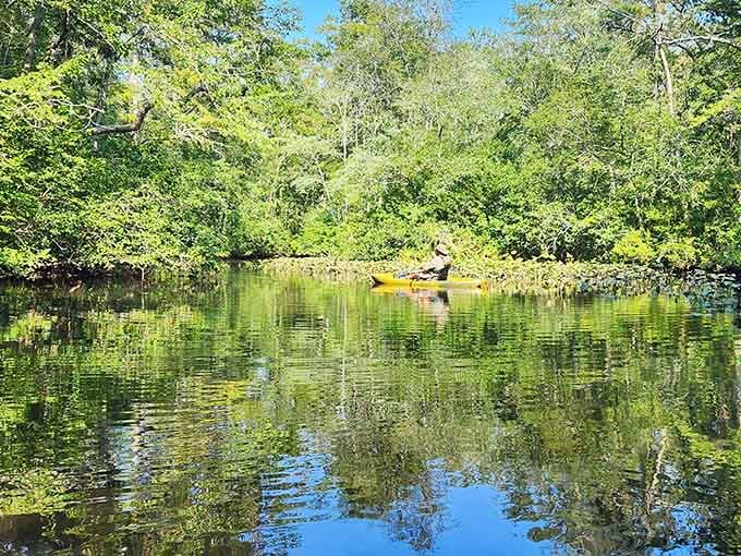 Yellow kayaks slice through mirror-smooth blackwater where reflections double your wilderness experience beautifully.