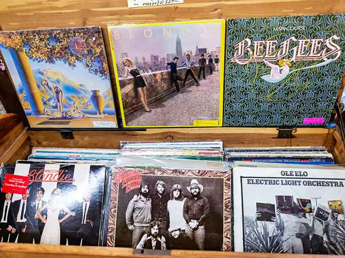 Blondie and the Bee Gees share shelf space, proving the '70s had range beyond disco balls.