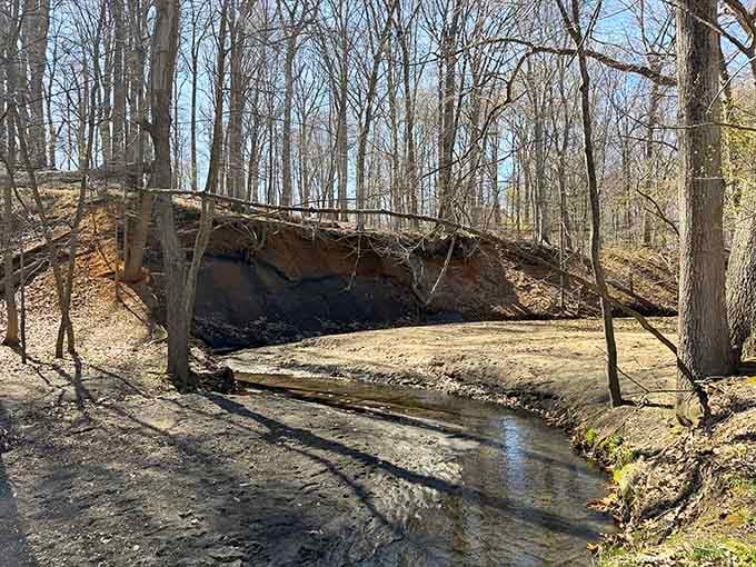 Those layered rock formations along the streambank are like nature's history book, written in stone and sediment.