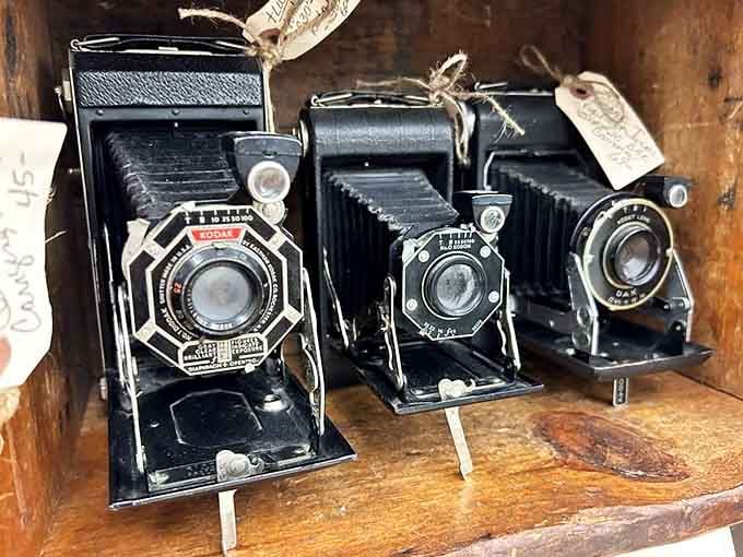 Vintage Kodak cameras lined up like soldiers, ready to remind you when photography required actual skill and patience.