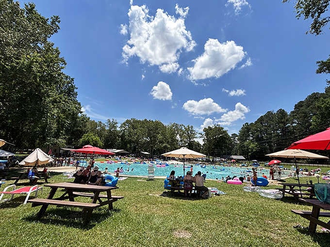 Perfect blue skies, perfectly clear water, and perfectly happy people enjoying a Georgia summer day.