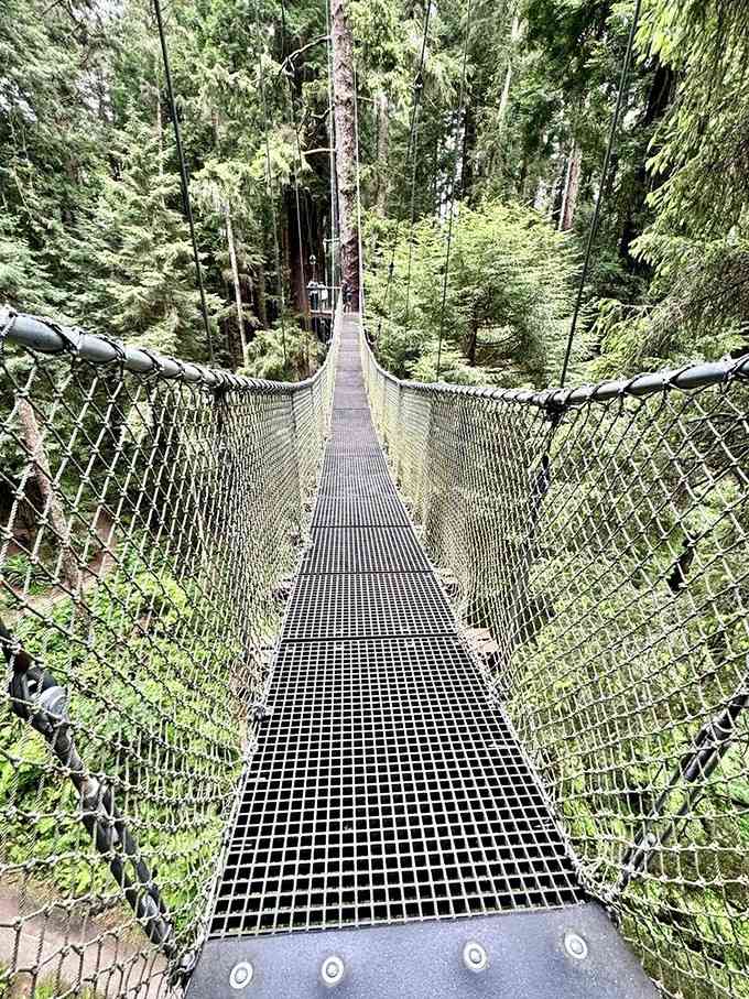 That moment when you realize the bridge ahead is your path and your stomach does a little flip.