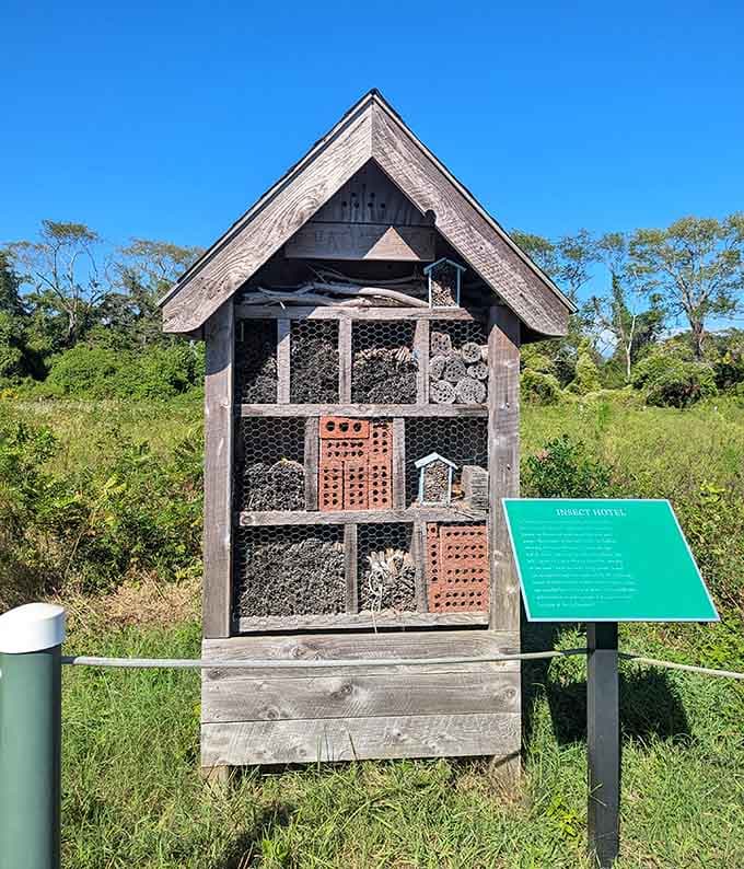 Nature's little architects get their own five-star accommodation along the scenic route.