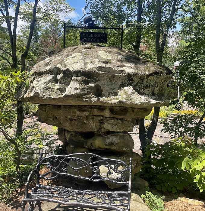 The Mushroom Rock proves that nature has a sense of humor and excellent balance after millions of years.