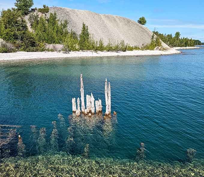 These weathered wooden posts jutting from the water stand like ancient sentinels guarding secrets from the Devonian period.