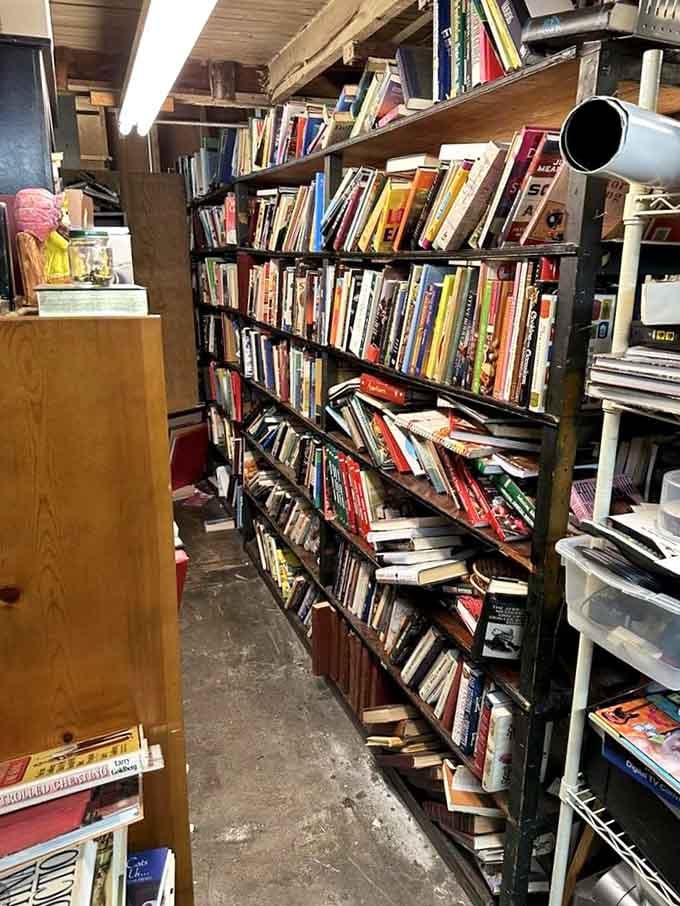 Book lovers' paradise: shelves packed floor-to-ceiling with reads spanning every genre, era, and interest imaginable.