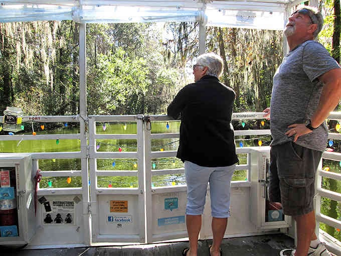 Passengers scan the shoreline, hoping that bump in the water is photogenic and not too interested.