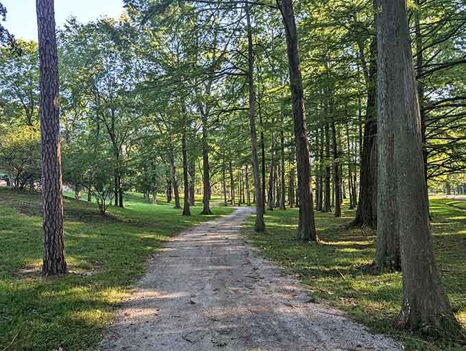 Bryan Memorial Park's tree-lined paths invite leisurely strolls that remind you why people actually talk to their neighbors here.