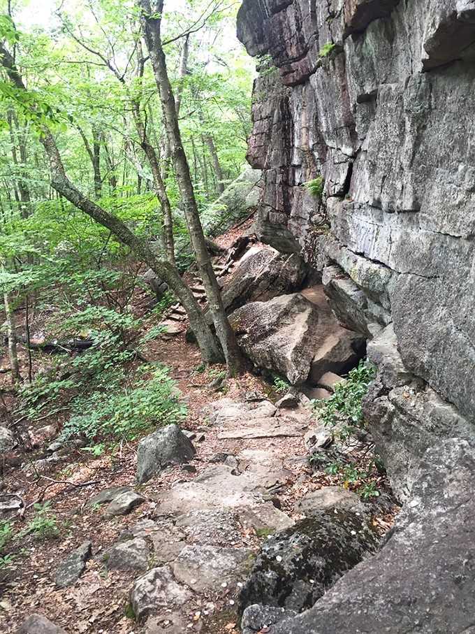 The trail winds through forests where even the rocks have stories older than your great-great-grandparents' great-grandparents.
