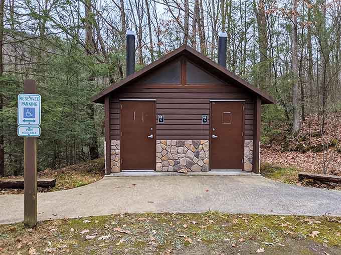 Even the facilities here blend seamlessly into the forest, respecting the natural beauty all around.