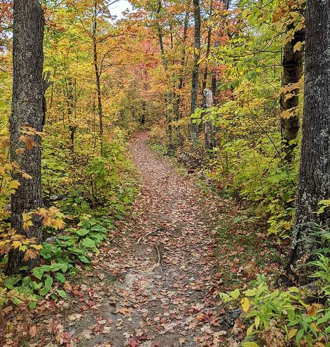 Fall trails carpeted in leaves that crunch satisfyingly underfoot, nature's own bubble wrap for your hiking boots.