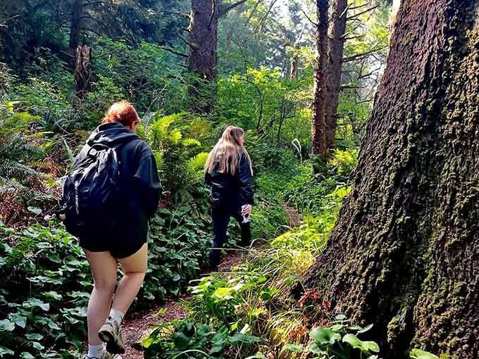 The forest path feels like entering Narnia, except the wardrobe is replaced with towering coastal pines.