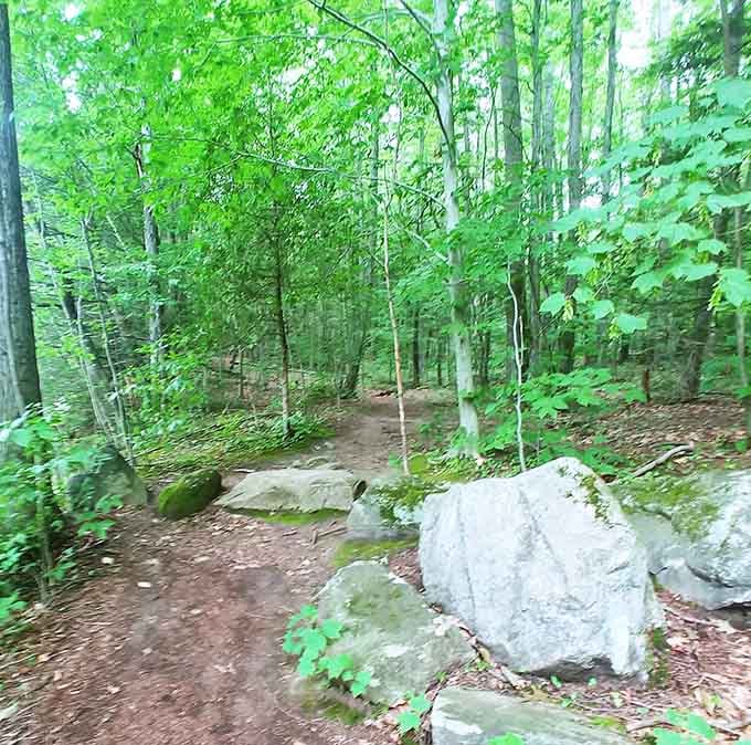 Forest trails where you can actually hear yourself think, assuming you remember what that sounds like anymore.