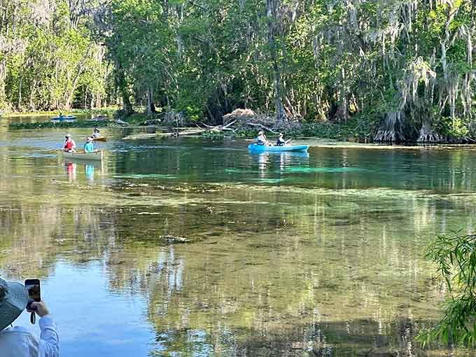 Crystal-clear waters reflecting the forest canopy make every kayaker feel like they've discovered their own private paradise.