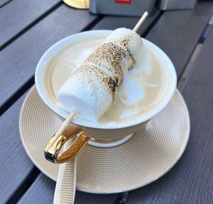 A toasted marshmallow latte that's basically s'mores in a cup, minus the campfire and questionable ghost stories.