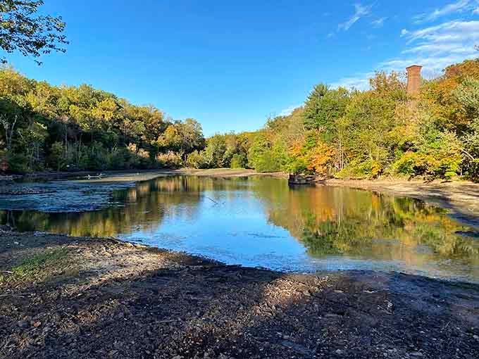 This tranquil pond reflects the surrounding forest like nature's own mirror, perfect for contemplative moments and deep breaths.