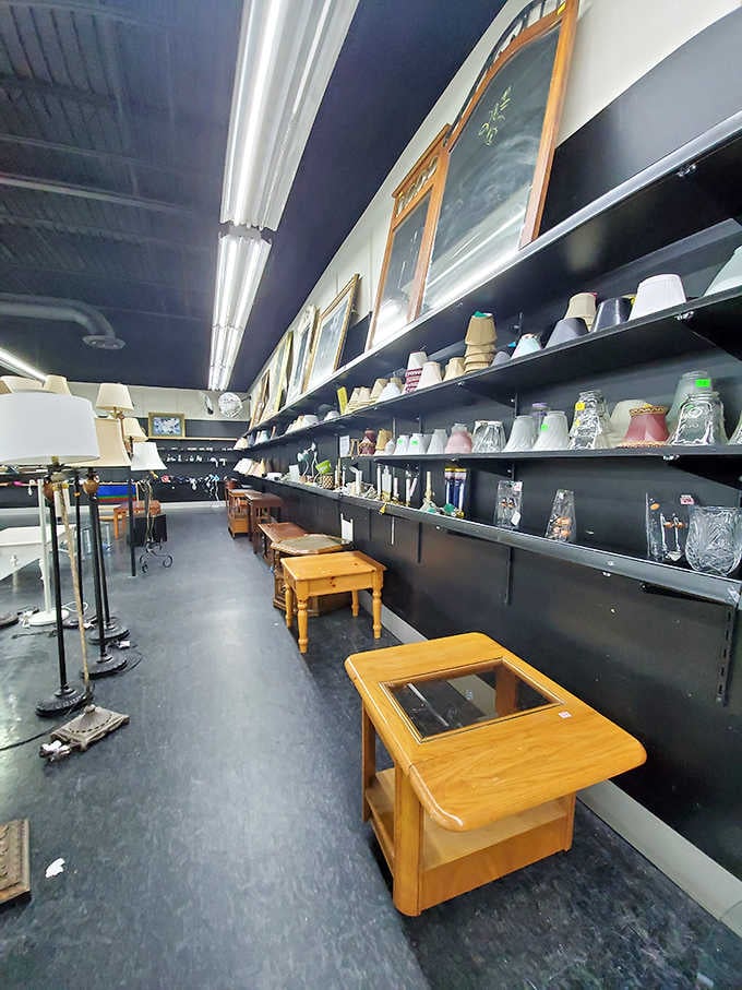 Lamps and home décor perched on shelves, each piece carrying memories from someone else's living room into yours.