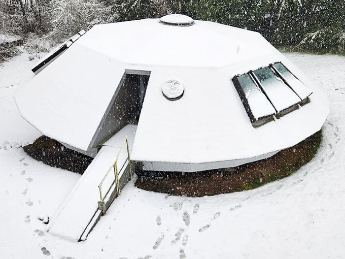 Even Washington winters can't diminish the otherworldly charm of this magnificent metallic marvel sitting in the snow.