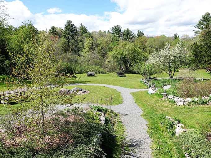 Spring's gentle invitation to slow down, complete with benches strategically placed for maximum contemplation and snack consumption.