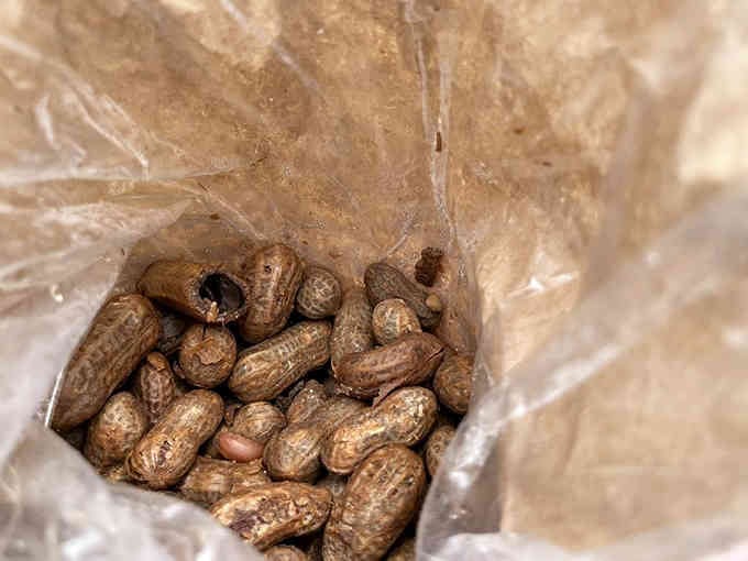 Road trip snacks that'll make you forget every gas station pretzel you've ever sadly consumed before.